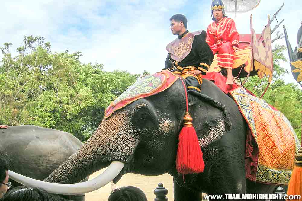 Elephant Theme Show & Crocodile Farm at Samphran Tour Halfday Trip